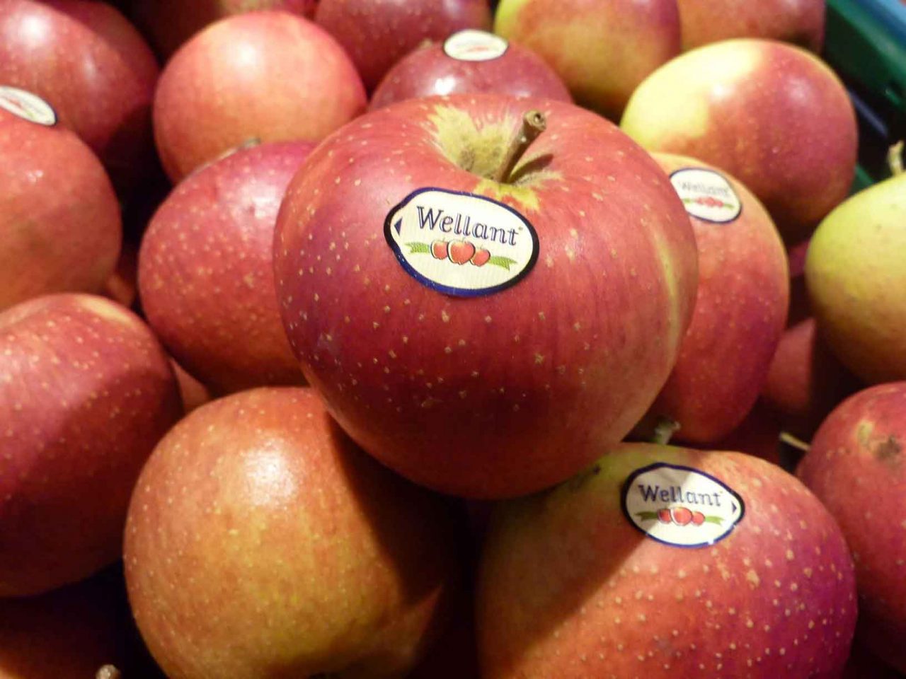 Wellant - Die Frischebringer