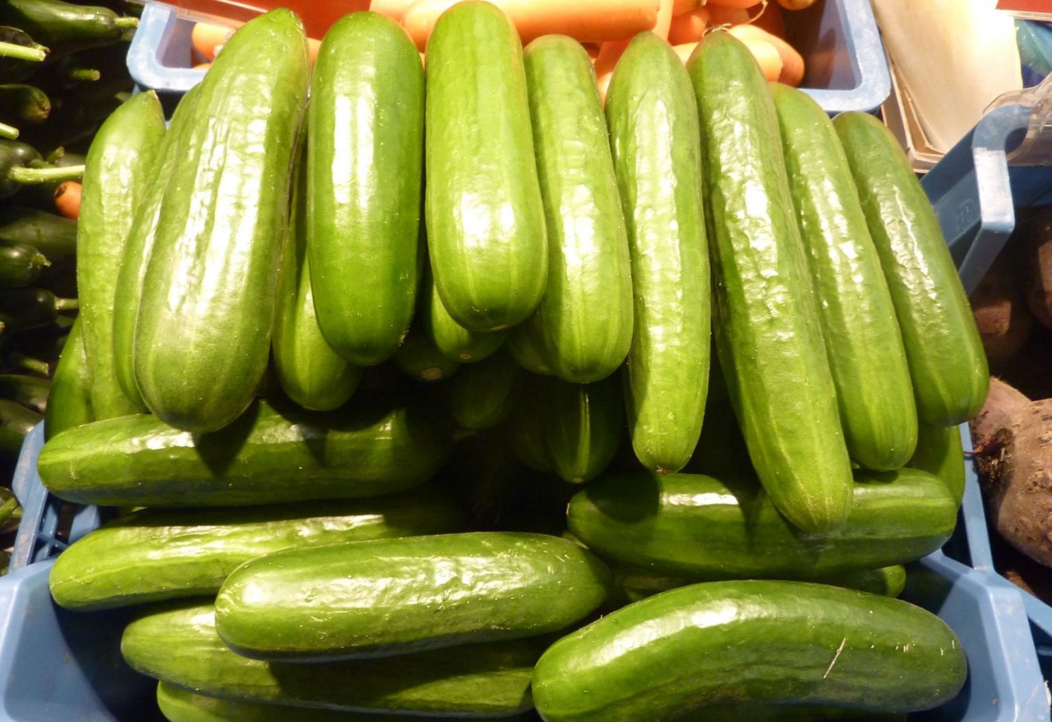 Mini Gurken - Die Frischebringer